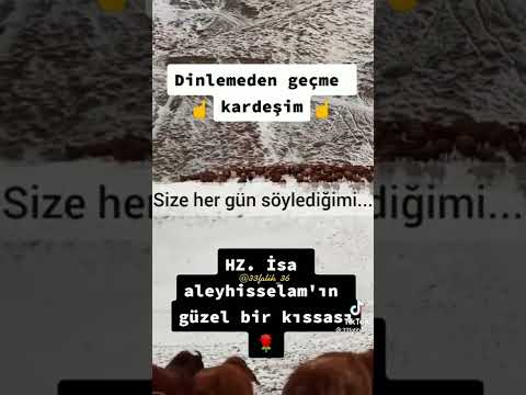 Bu Koyun Bile Anladı  Siz Anlamadınız