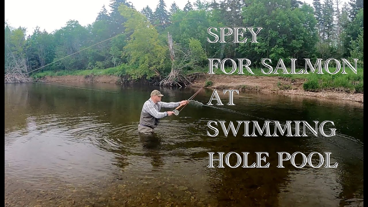 SPEY FISHING for SALMON at SWIMMING HOLE POOL on the MARGAREE RIVER- A ...