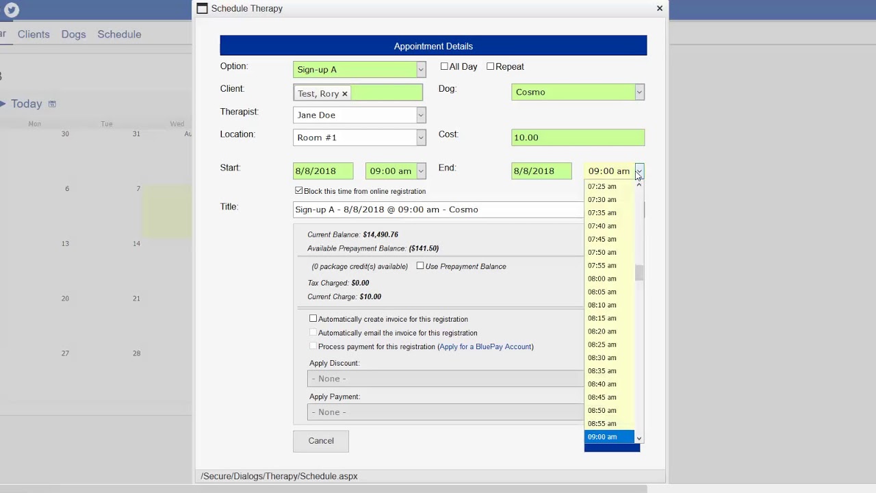 Manually Scheduling a Therapy Appointment - YouTube