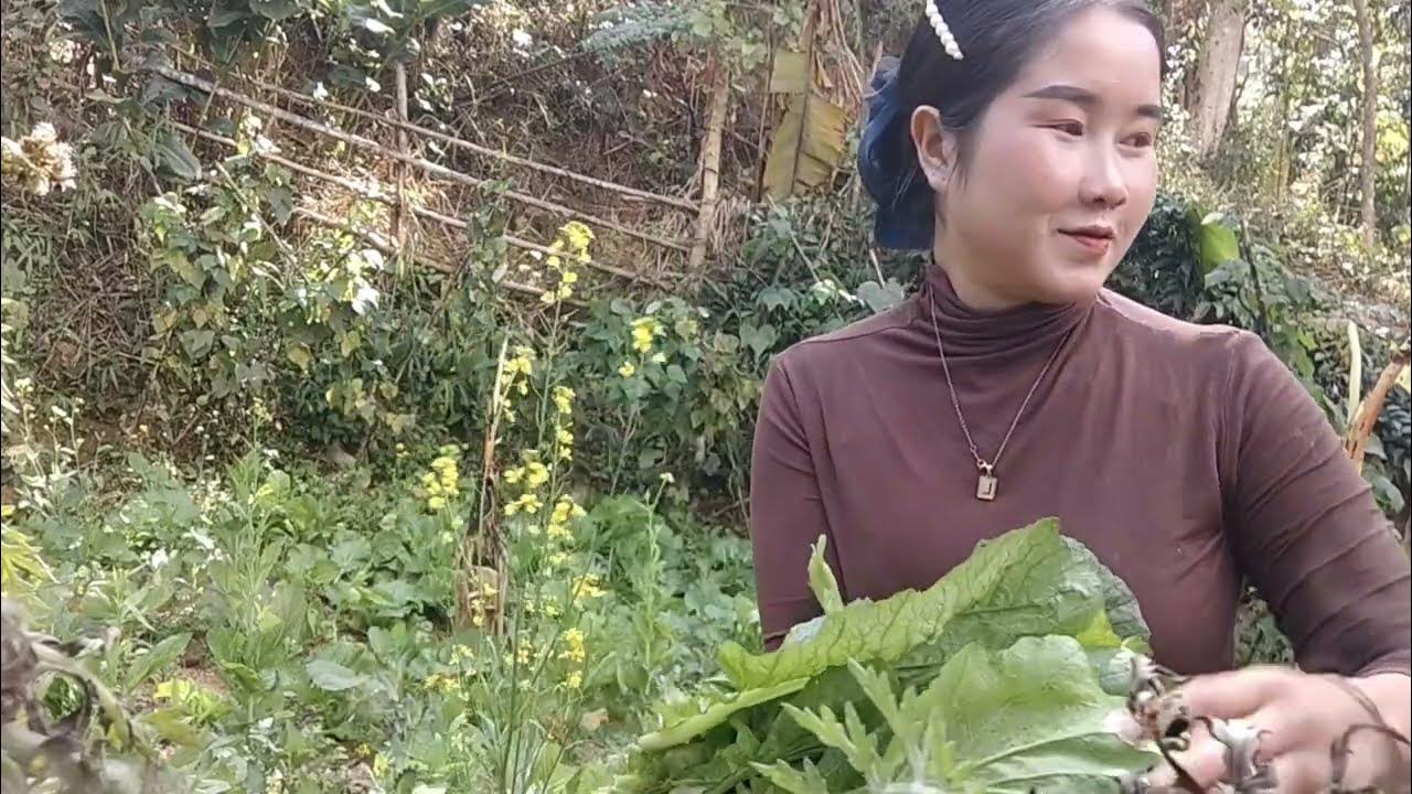 nrog kv mus de zaub los noj zaub mos kawg li o - YouTube