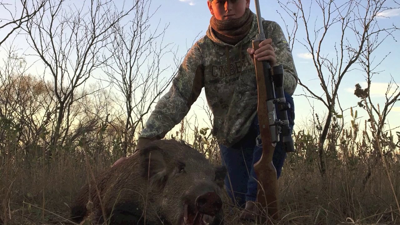 Texas Hog and Deer Hunting 2016 - YouTube