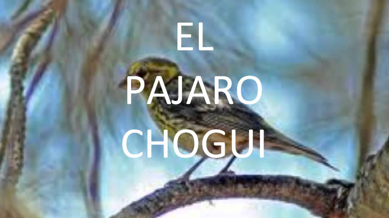 EL PAJARO CHOGUI (GUARANI)=GERMAN BAS - YouTube