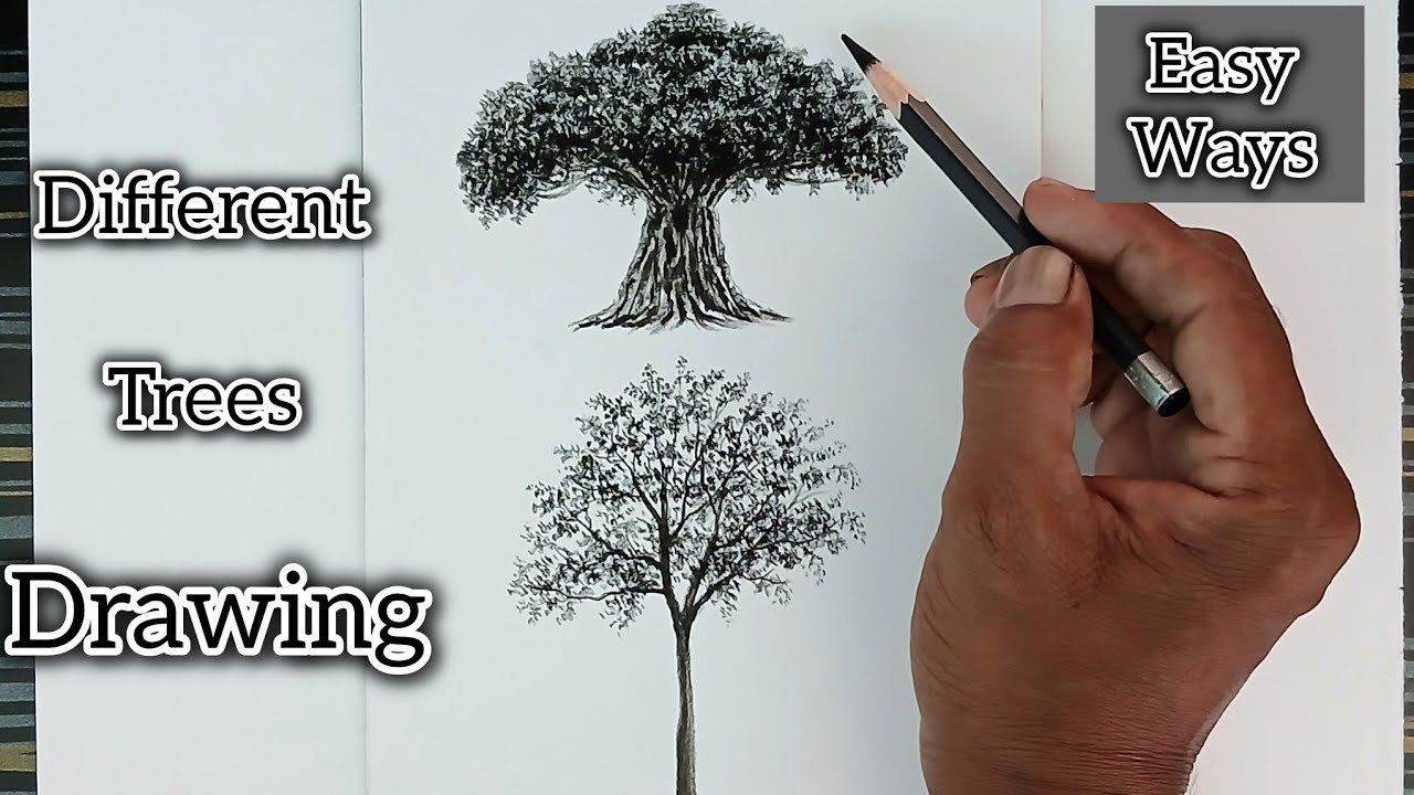 To learn how to draw two different types of trees. - YouTube