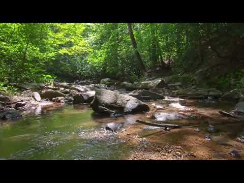 Quiet Stream Sounds 2 Hours. Quiet Stream in the Forest. Birds Chirping ...