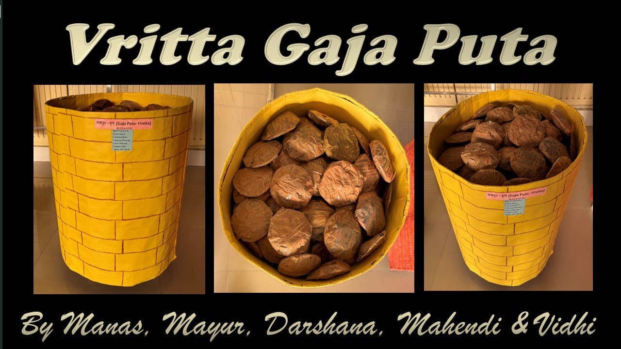 Vritta Gaja Puta - YouTube