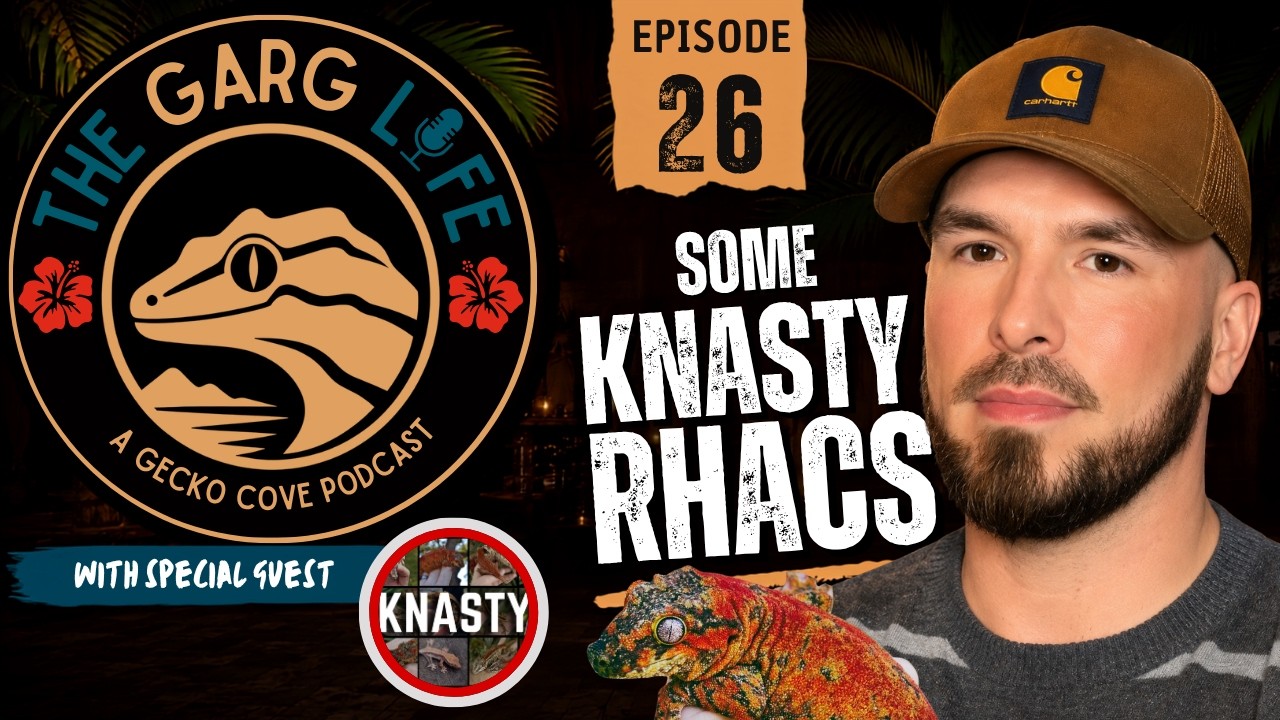 Some Knasty Geckos - GeckoCoveConnection - Knasty Rhacs - YouTube