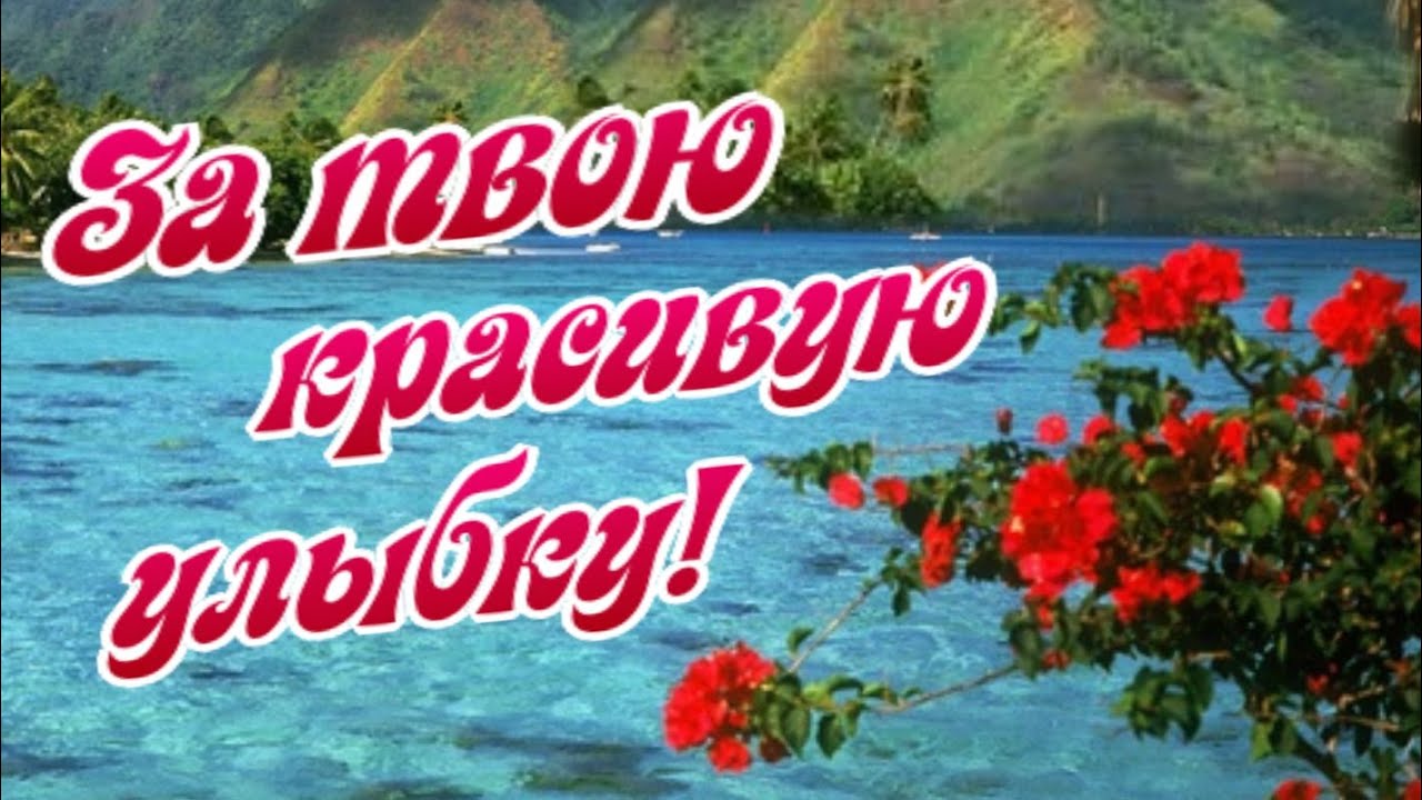 Эти розы для тебя За твою прекрасную улыбку Youtube