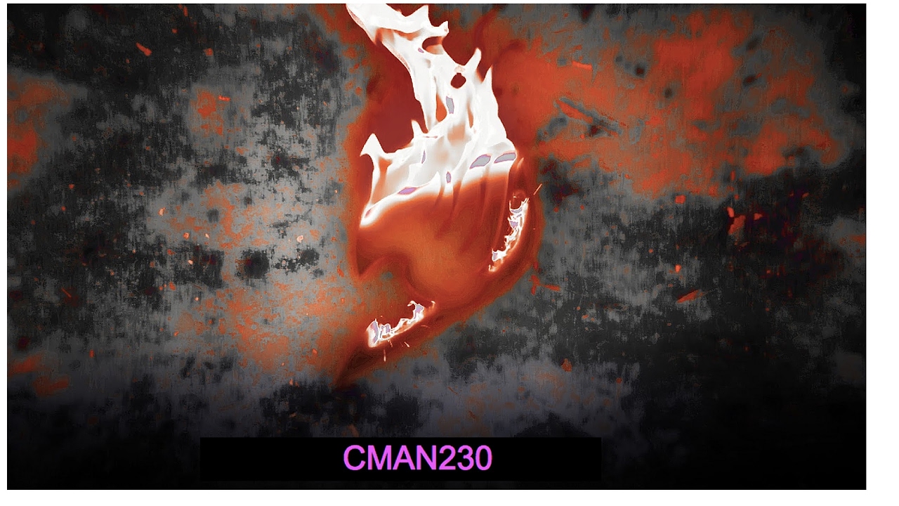 Cman 230 Live Stream - YouTube