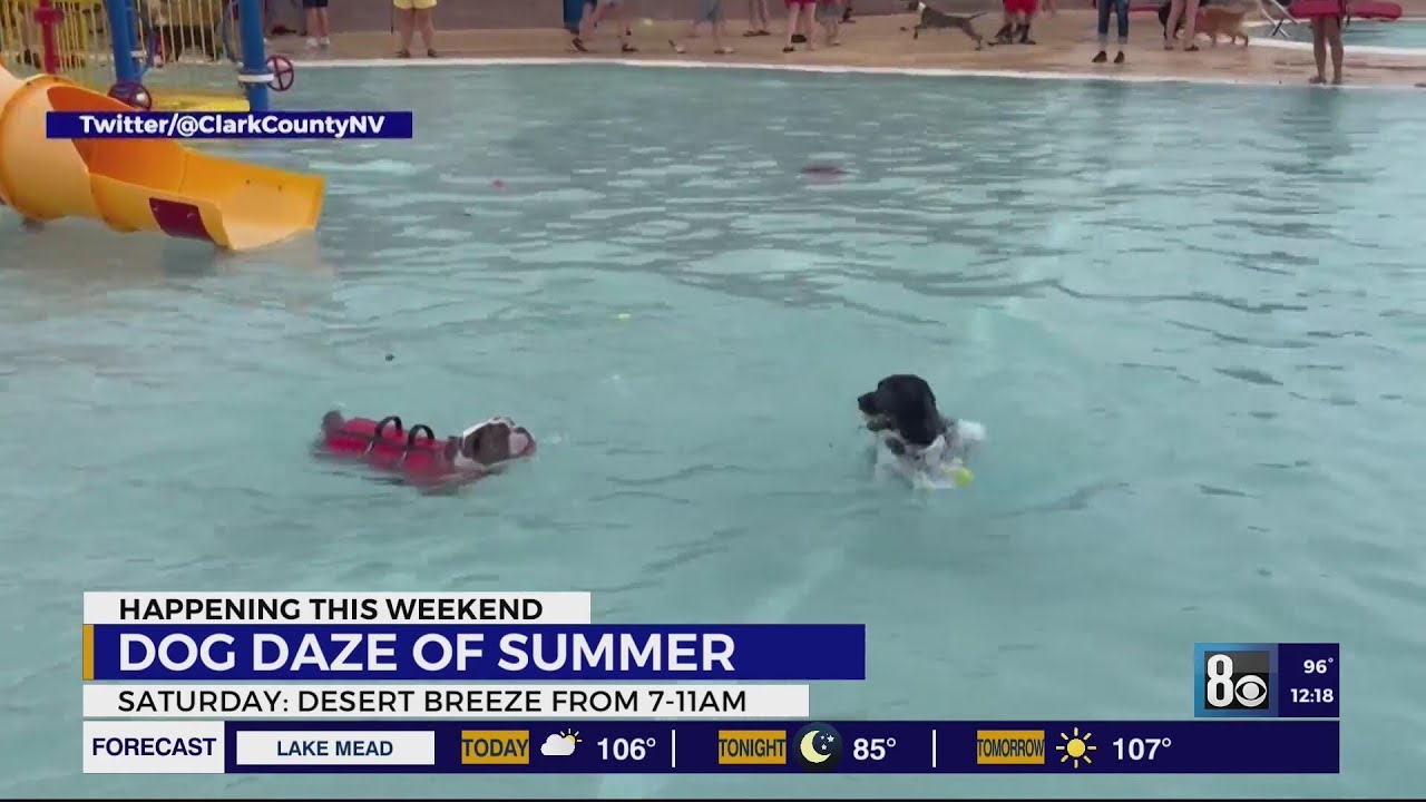 Dog Daze of Summer happening Sept. 7 - YouTube