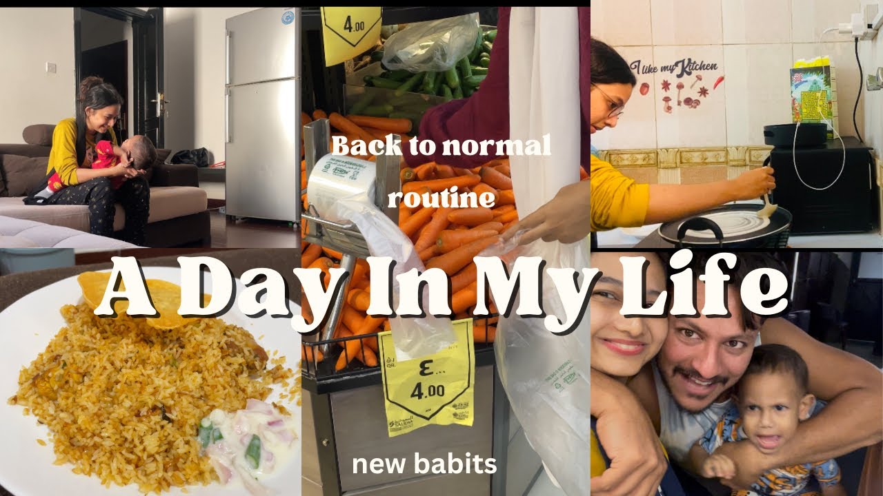 രാവിലെ മുതൽ രാത്രി വരെ full day in my life , back to normal routine ...