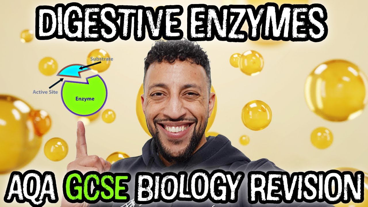 Science Raps: GCSE Biology - Enzymes - YouTube