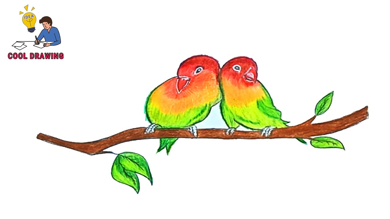 Couple Parrot Drawing Tutorial | Draw A Parrot I Cool Drawing Ideas ...