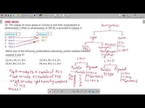 CSIR NET Life Science December 2019 | Plant Physiology Practice MCQs | Photosynthesis Questions ...