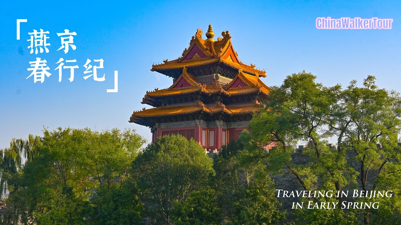 Exploring Beijing's Early Spring: A Serene Sojourn Through the Capital ...