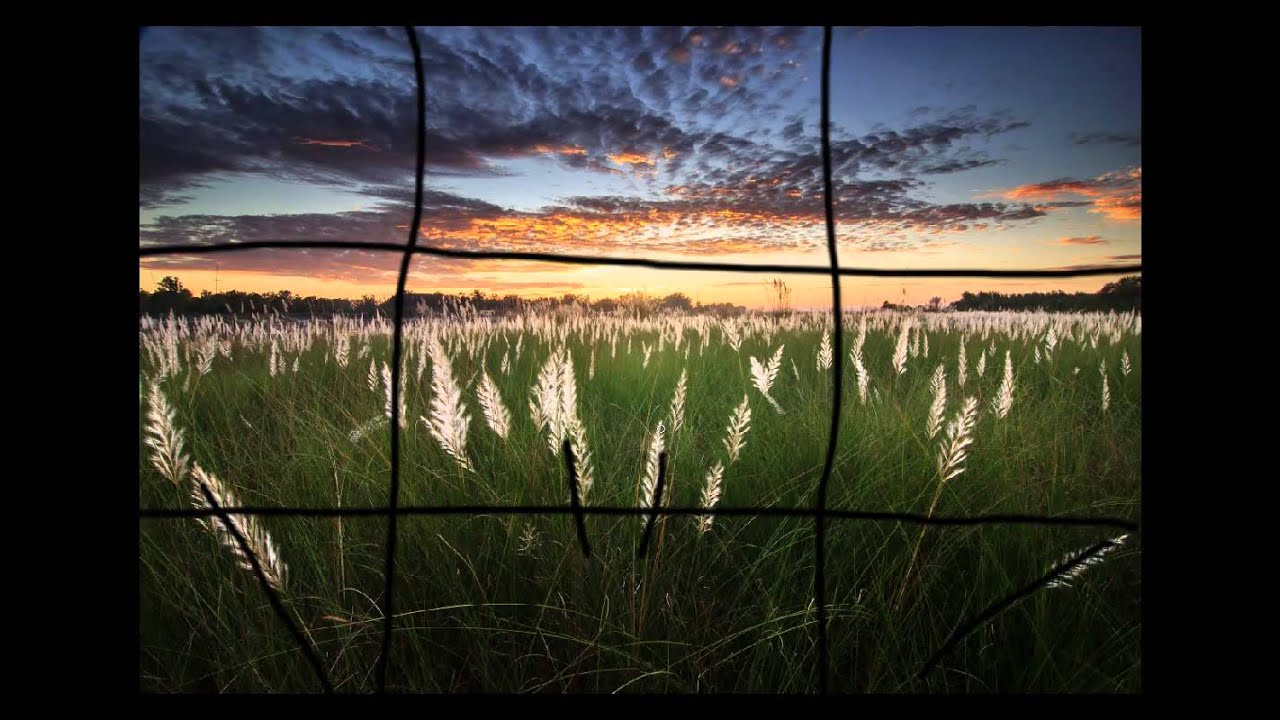 Composition in Photography and foreground / background distraction ...