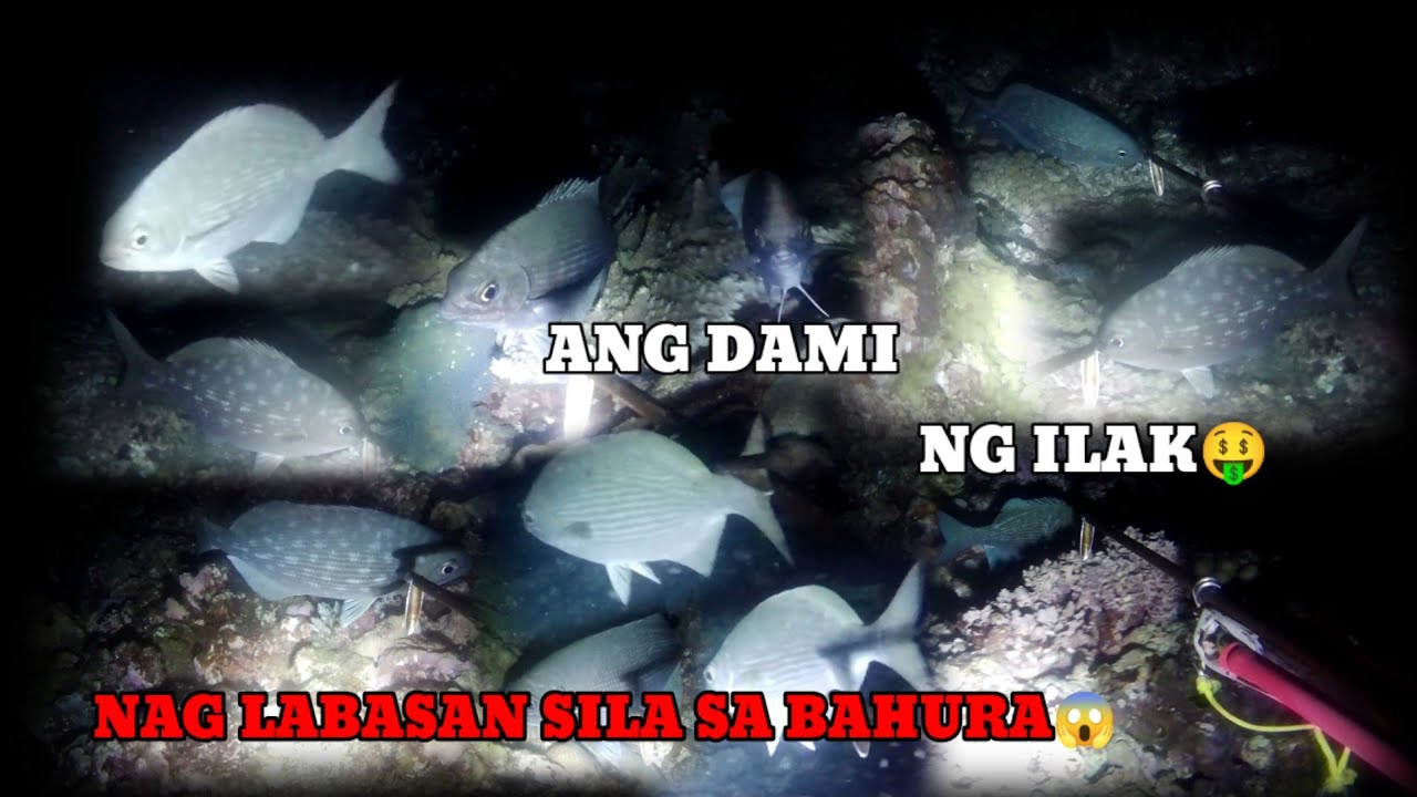 NAG LABASAN SILA SA BAHURA😱 JACKPOT 🤑// JP AMBOY VLOG #fishing# ...