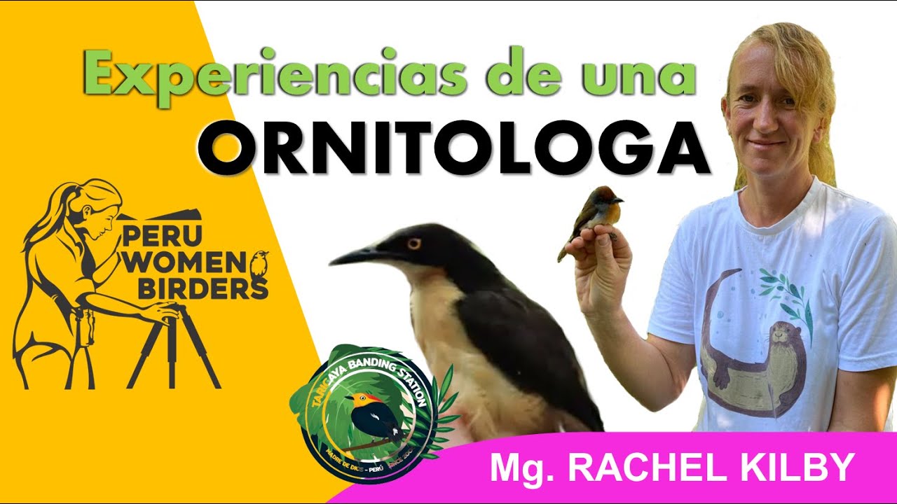 Experiencias de una Ornitologa en Sudamerica | Rachel Kilby | BIRD ...