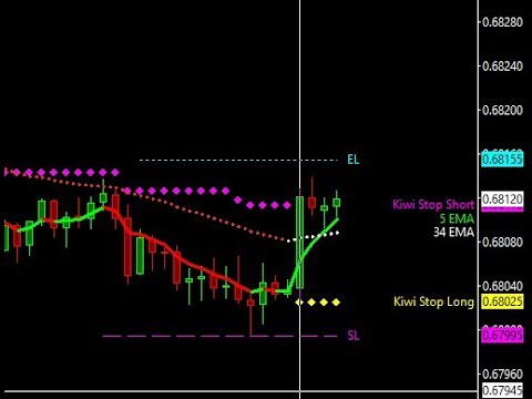 Forex Automatic Advanced Order Size Risk Management Tool With Trailing ...