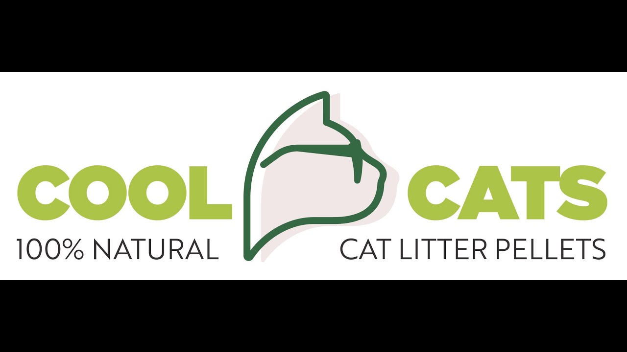 Meet Cool Cats, The Solution to Cat Litter - YouTube