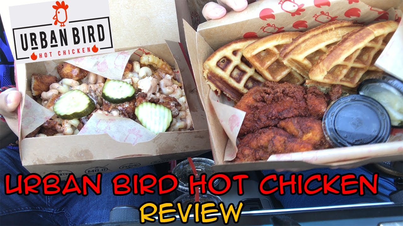 Urban Bird Hot Chicken Review - YouTube