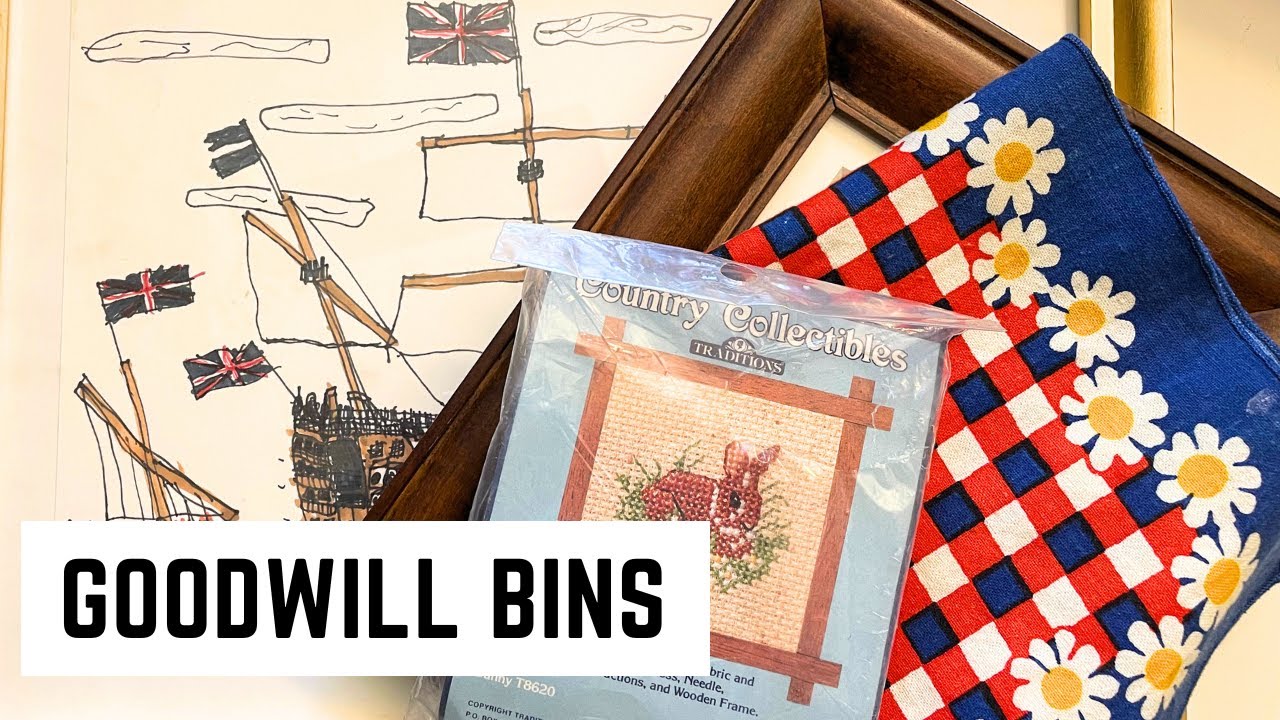 Thrift Haul Goodwill BINS Art Supplies - YouTube