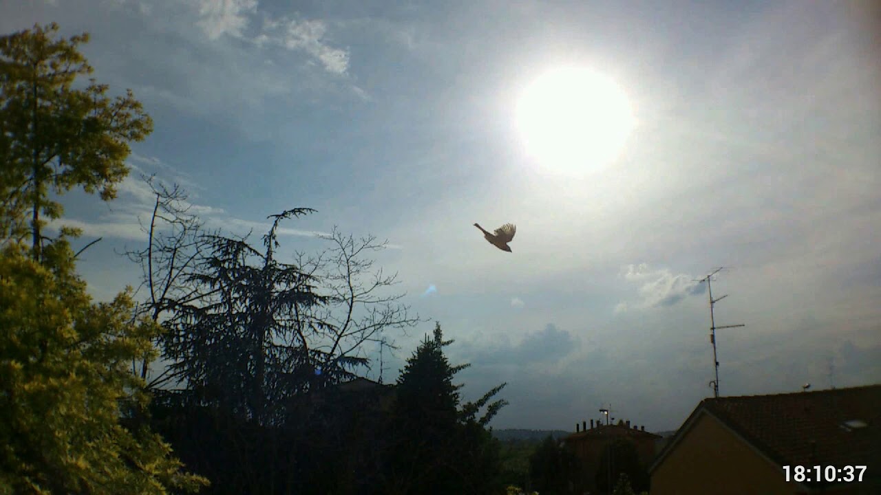 2020 06 13 Caluri Ovest LT26i412 WI LI TS s6f60 - YouTube