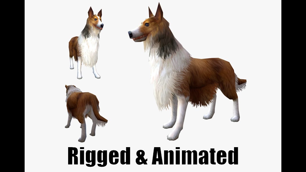 Animated 3D Rough Collie - YouTube