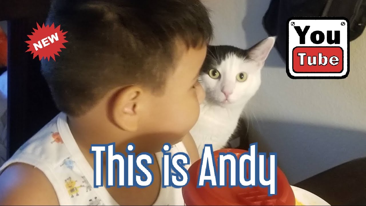 Hi Friends! I want you to meet Andy!! - YouTube