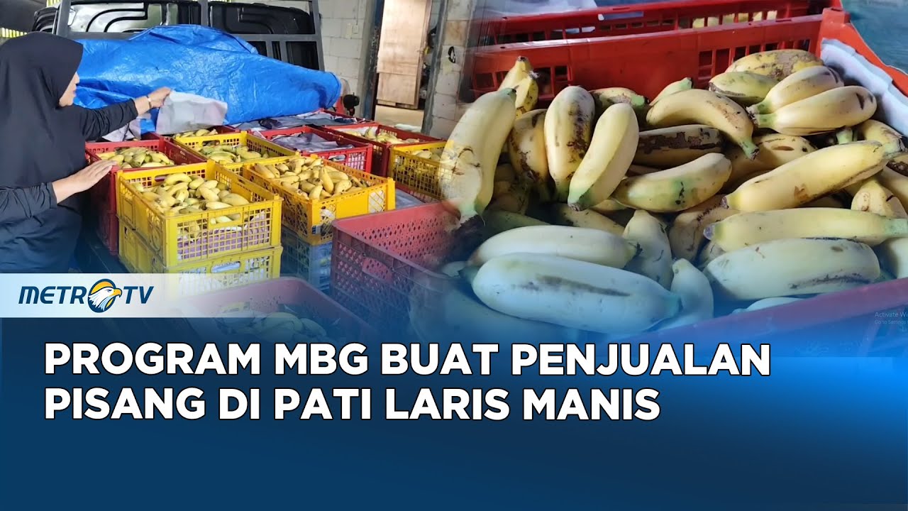 Pisang Laris Manis Berkat Program Makan Bergizi Gratis di Pati - YouTube