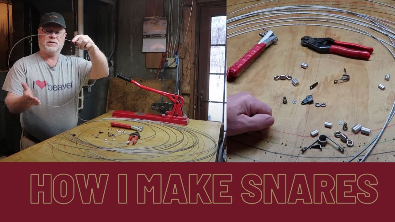 How to: State of the Art Wolf Snaring - YouTube