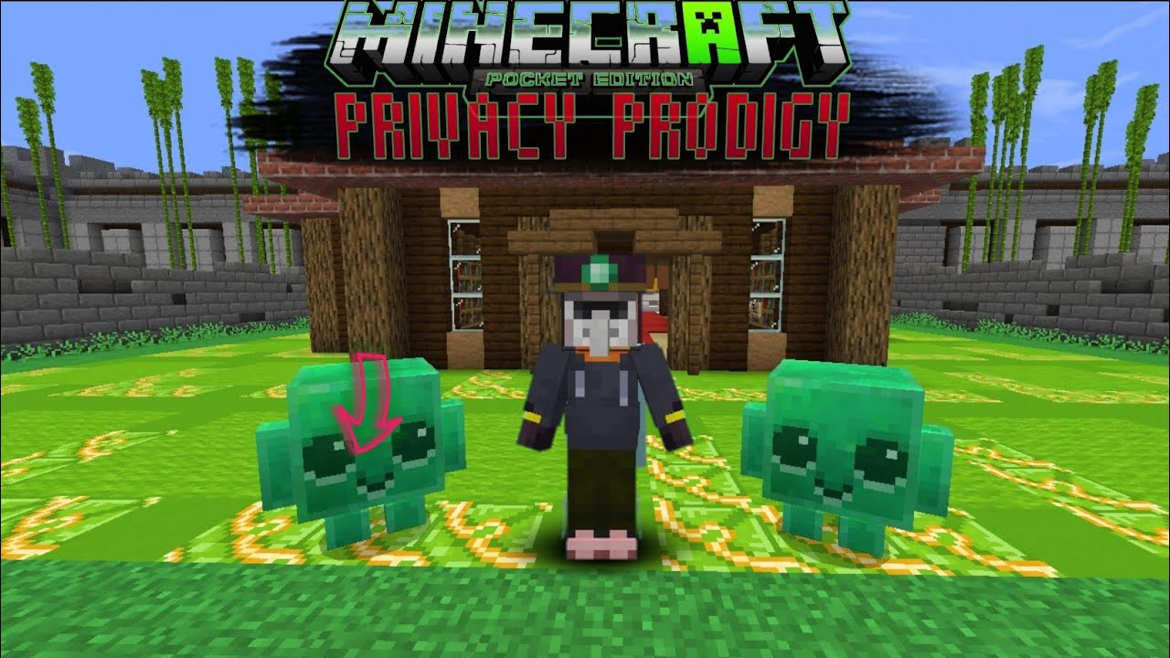 CyberSafe; Privacy Prodigy Map In Minecraft - YouTube