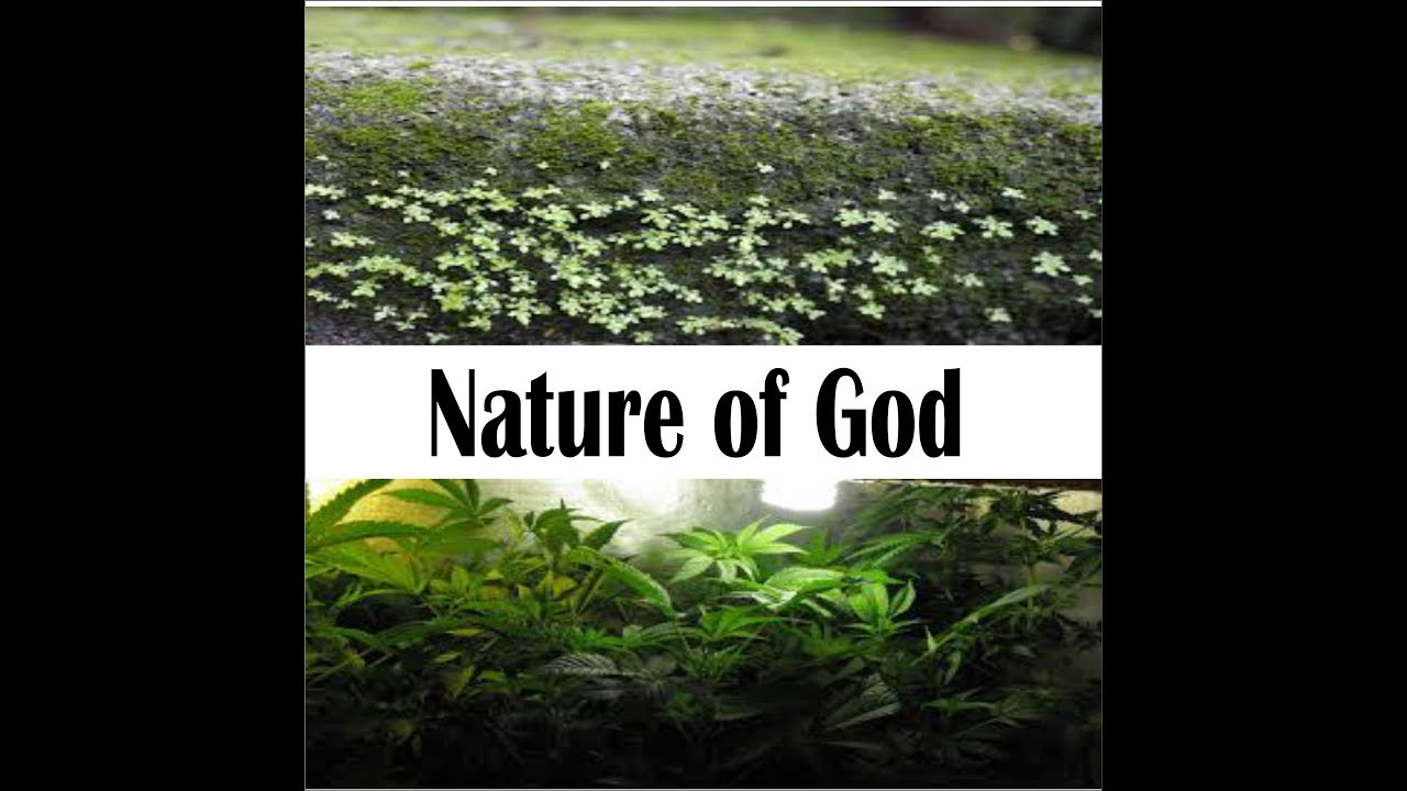 Nature (All things are nature) - YouTube