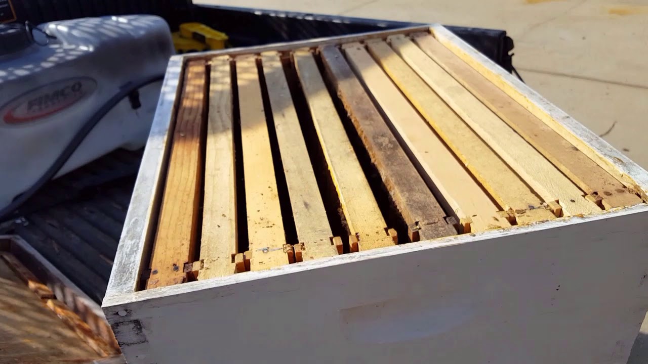 Building a swarm trap stand - YouTube