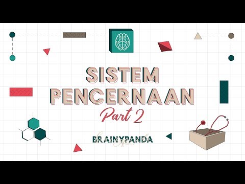 Sistem Pencernaan: Rongga Mulut | Ilmu Biomedik Dasar | Brainy Panda