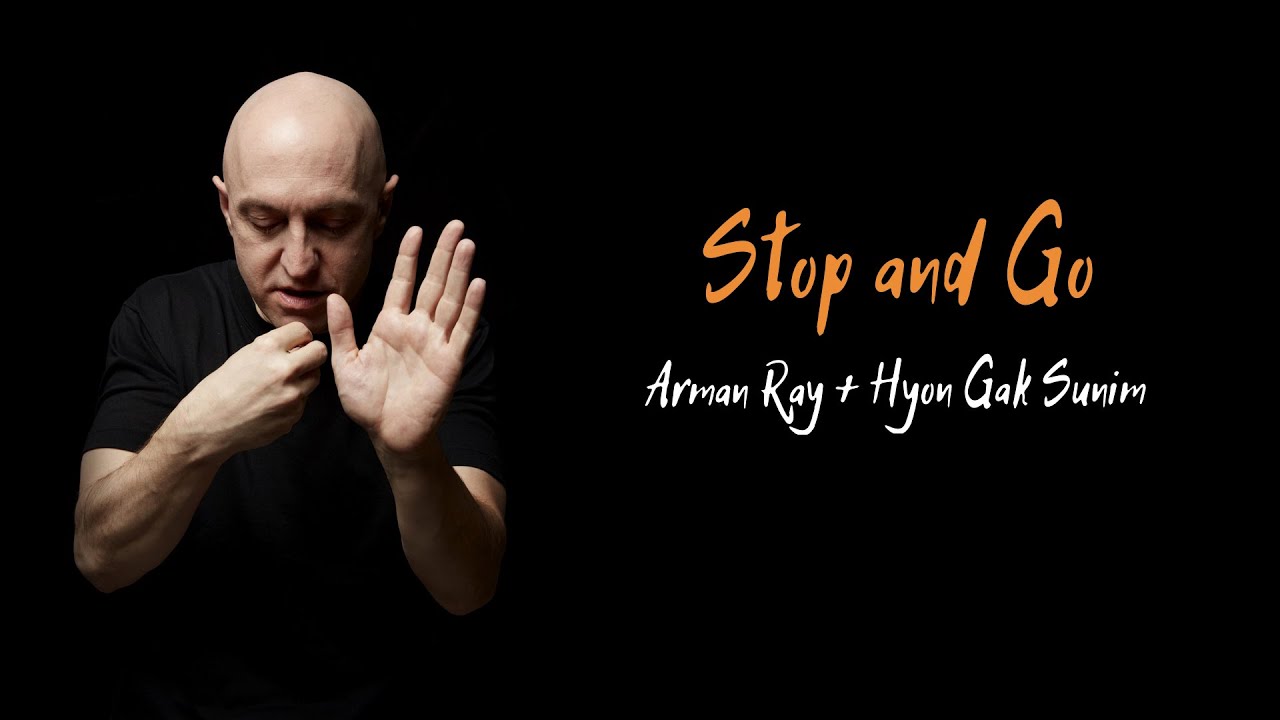 Stop and Go // Arman Ray + Hyon Gak Sunim // The Formless Track ...