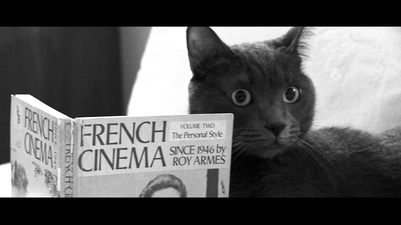 MEOWLESS - YouTube
