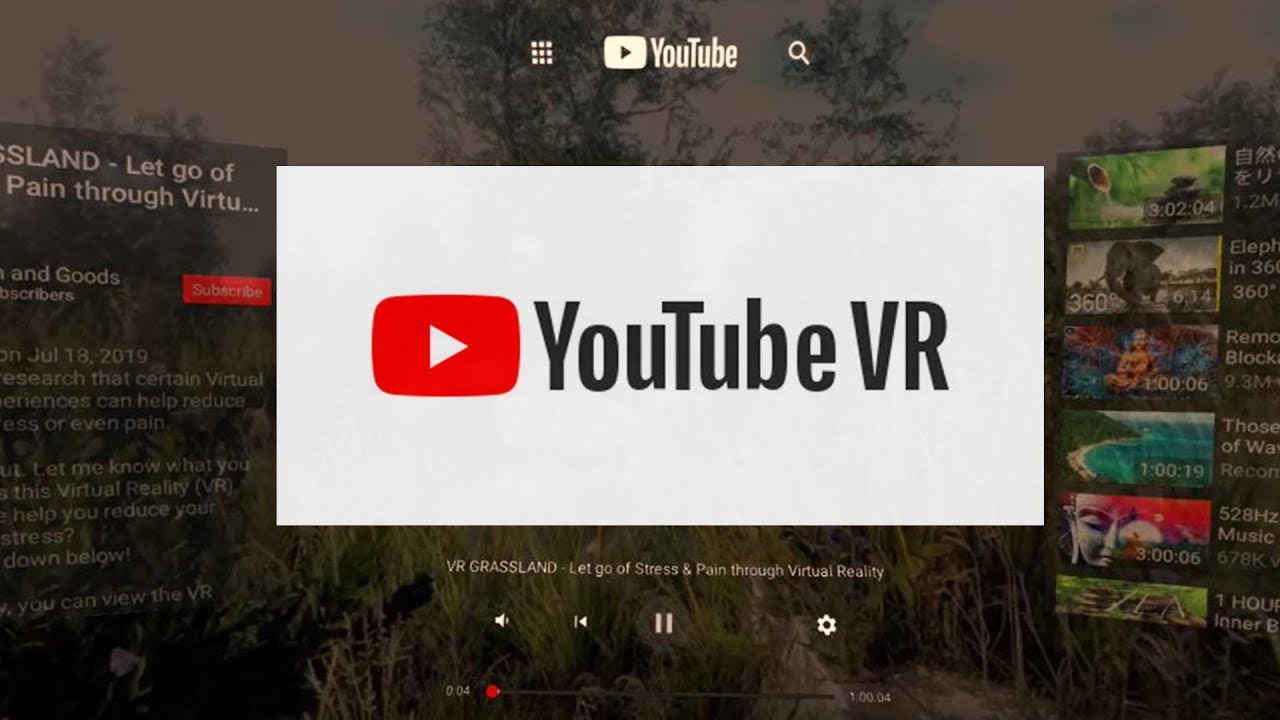 VIEWING YOUTUBE VR - YouTube