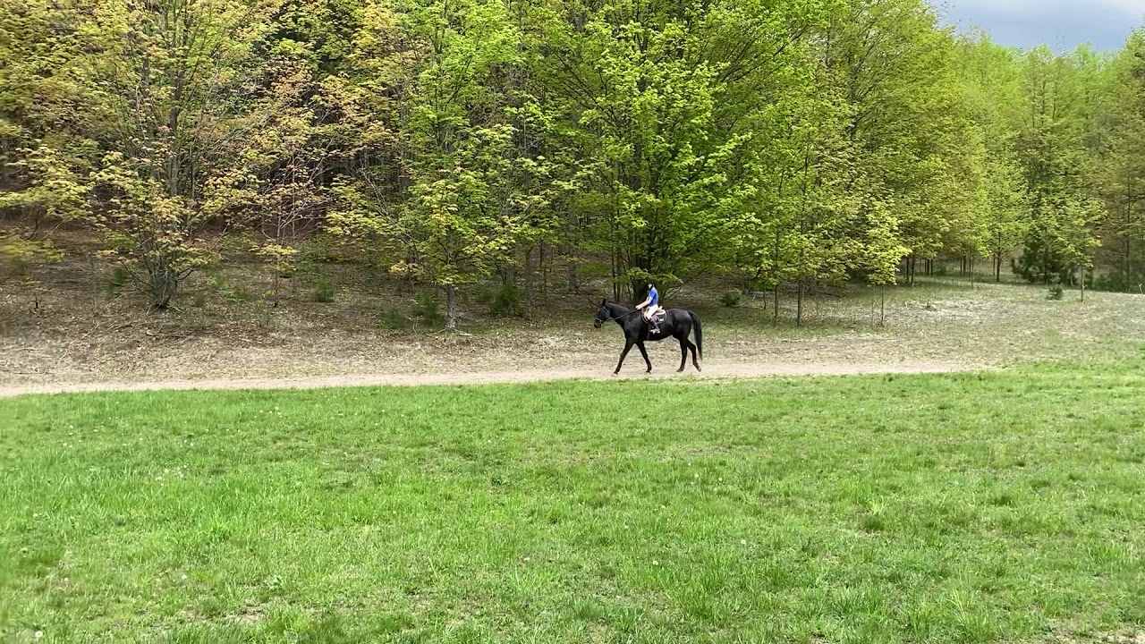 Ava Garvin English class 3&4 - YouTube