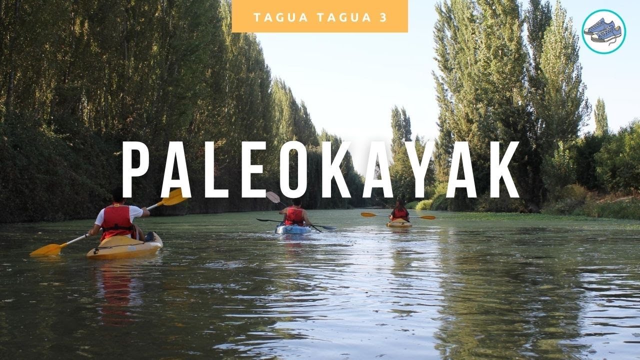 🏞️ La Historia Secreta de Tagua Tagua: PALEOKAYAK y Museo Escolar de La ...