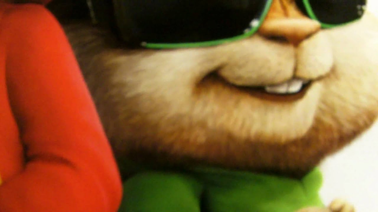 Macro Testing HD 1080p - YouTube