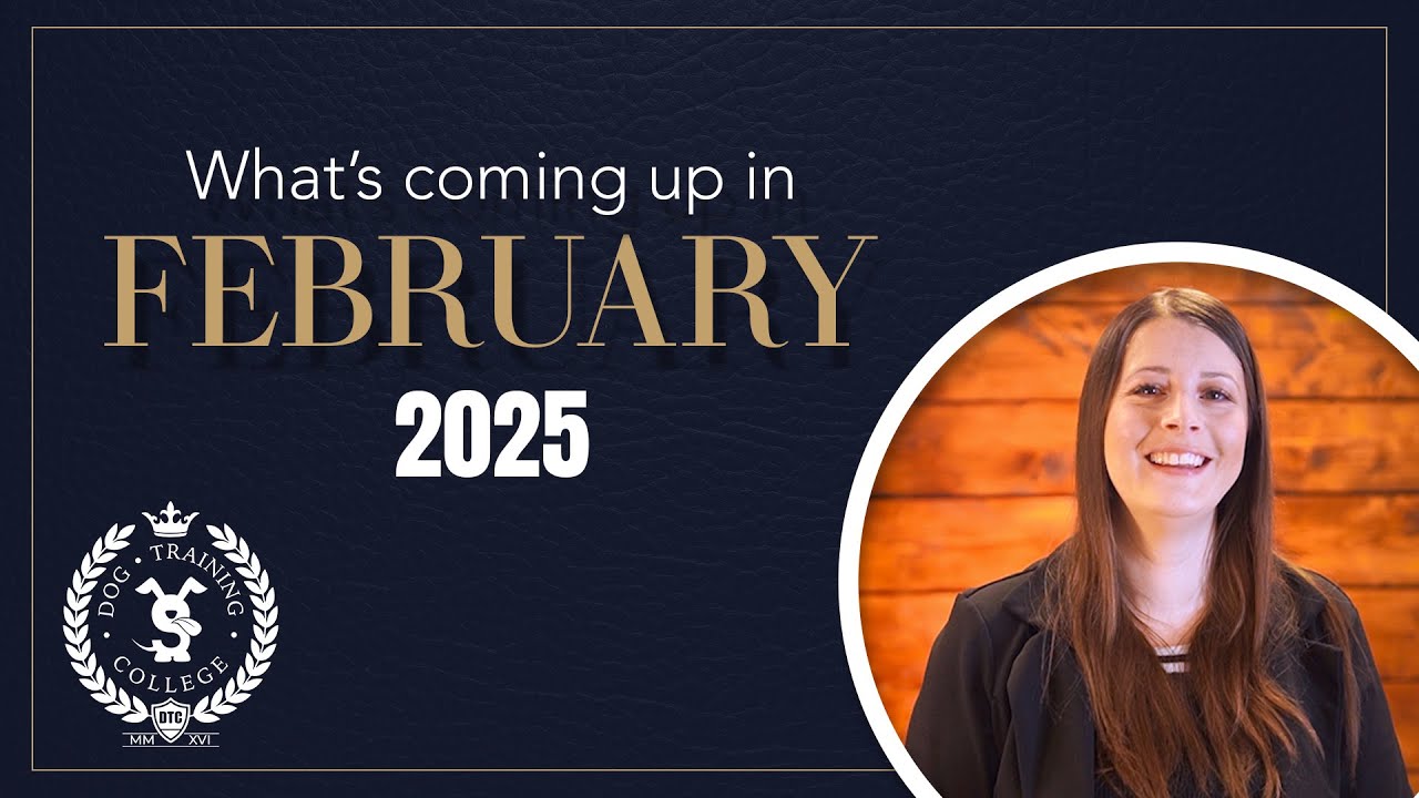 What's Coming Up | February 2025 - YouTube