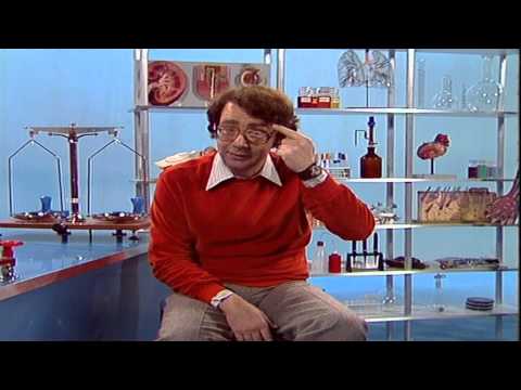 Sjukt sa kroppen Avsnitt 4 av 5: Sår, bulor och brott