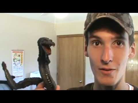 Manda (Y-msf) Figure: Review 79 - YouTube