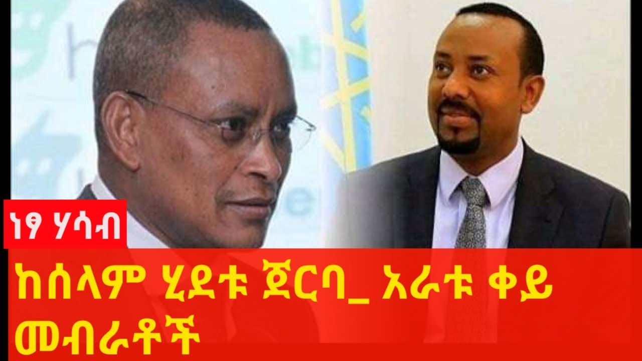 የሰላም ሂደቱን ያቆሙት አራት ቀይ መብራቶች/ADDIS NEWS/አዲስ ኒዉስ - YouTube