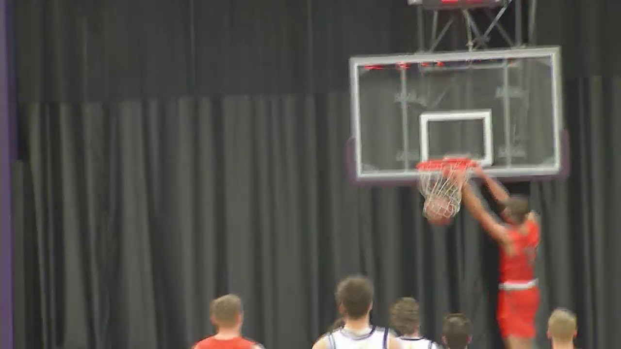 Panthers flex muscle - YouTube