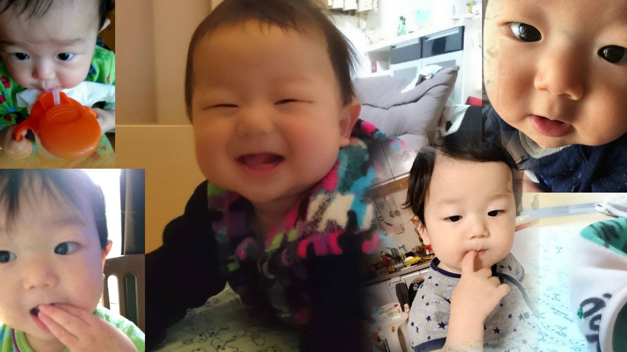 【赤ちゃん成長記録】0歳から1歳の軌跡("My baby's histry" Locus from 0-year-old to 1-year ...