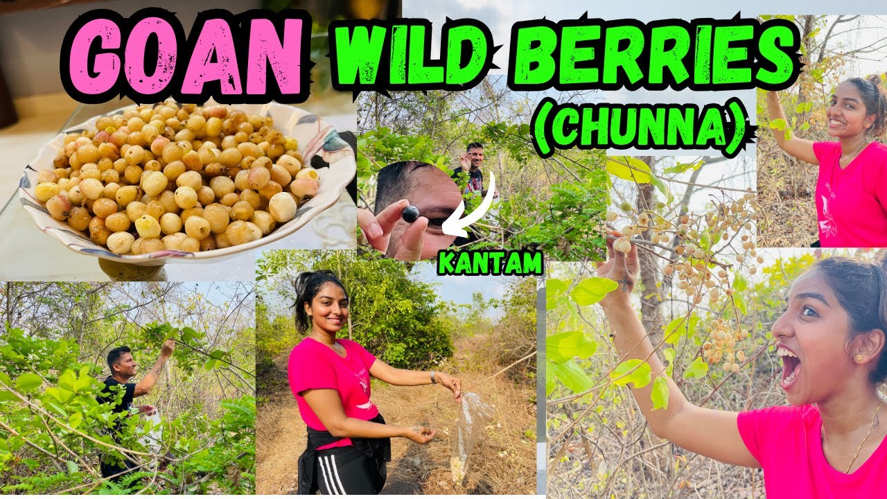 Goan Wild Berries (CHUNNA) - YouTube