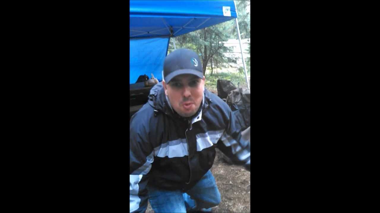 Andy's Bear Cub Movie - YouTube