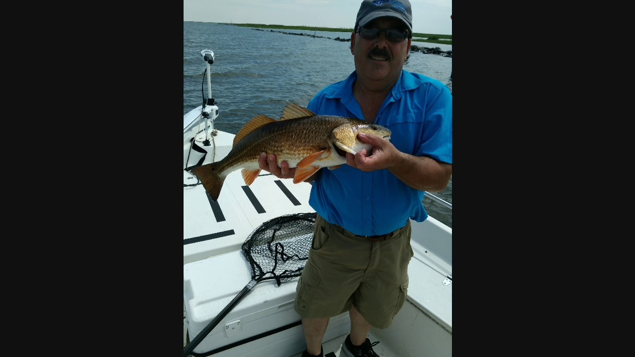 Shell Beach Redfish - YouTube