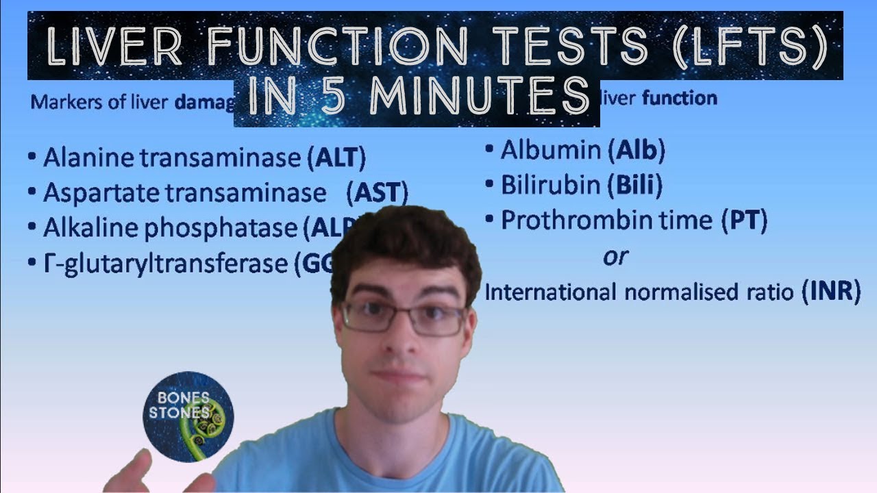 Liver function tests (LFTs) in 5 minutes - YouTube